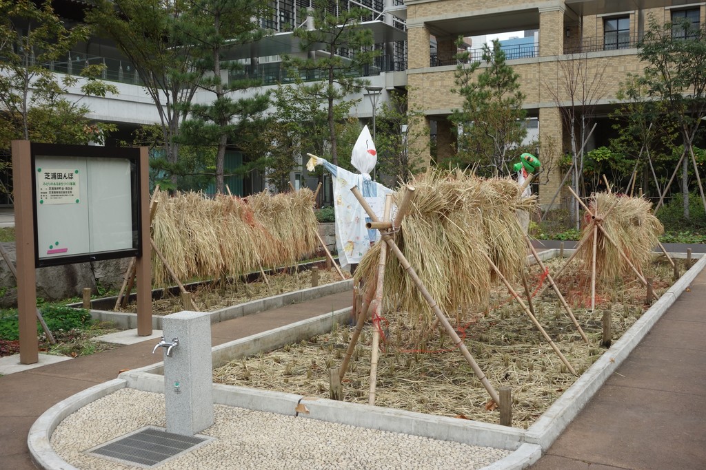 【公園徹底攻略】芝浦公園 リニューアル直後のデザイン性あふれる公園 | 流転三昧